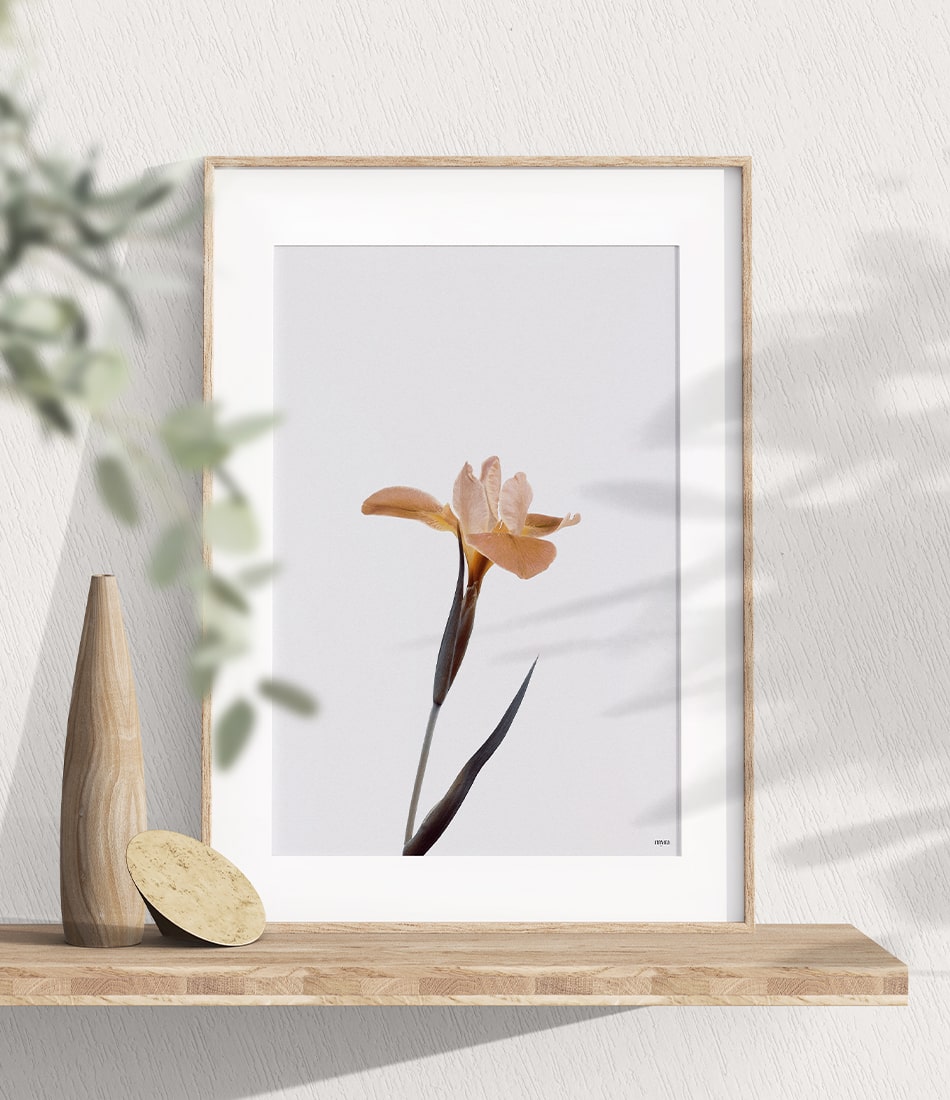 Realism single flower white poster